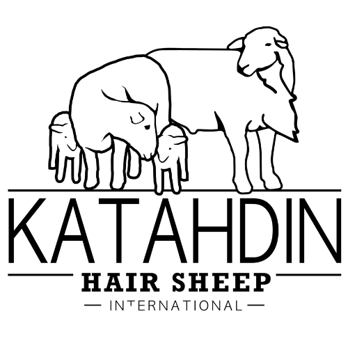 NP Ranch – Dedicated To Providing Quality Katahdin Hair Sheep